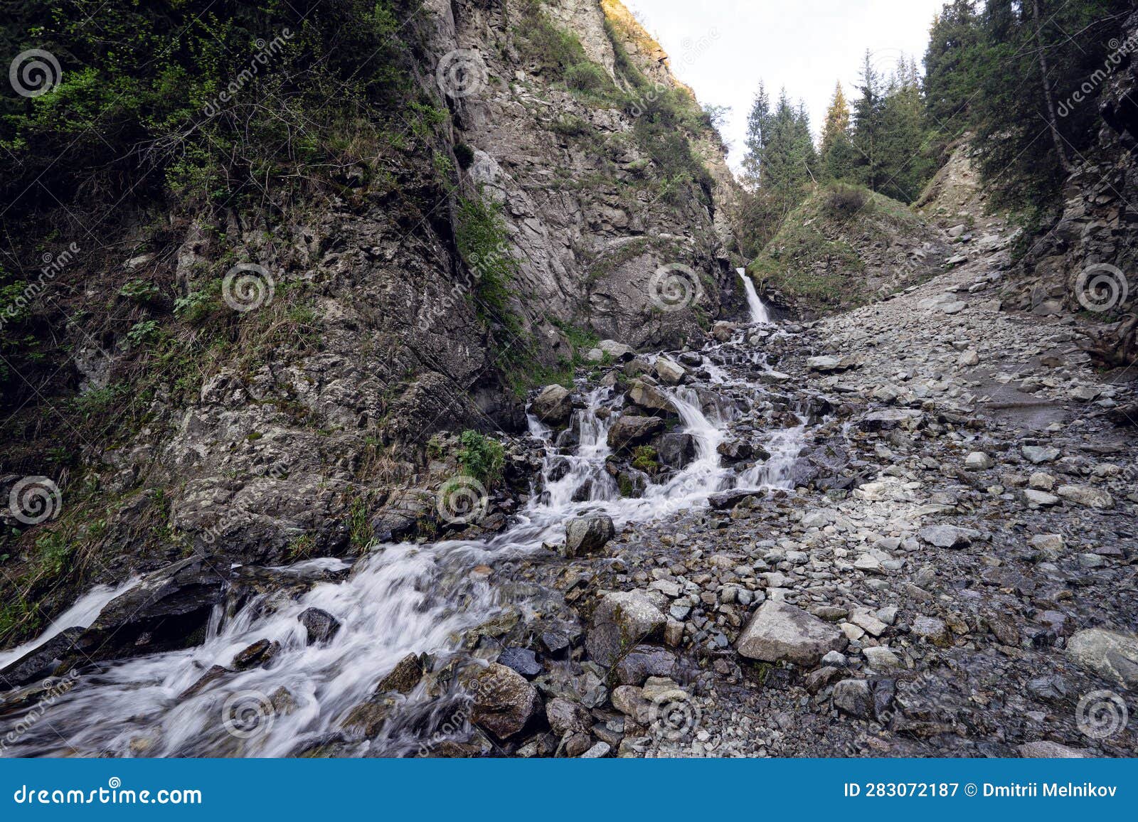 View of the Mountain River with a Strong Current and Rifts. River is ...