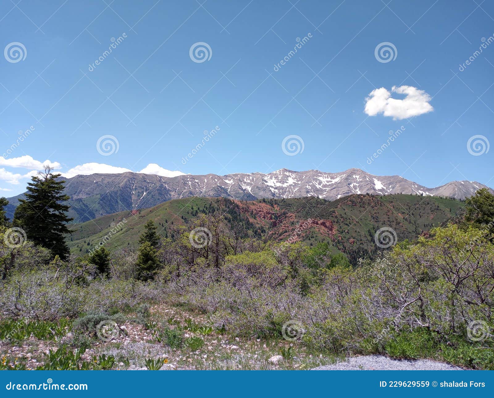 View of mountain scene stock image. Image of trail, tree - 229629559