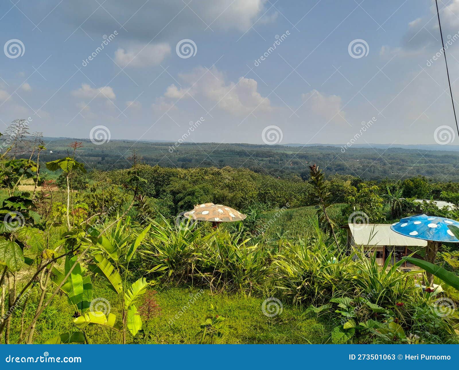 The View on the Mountain with Shady Trees Stock Image - Image of ...
