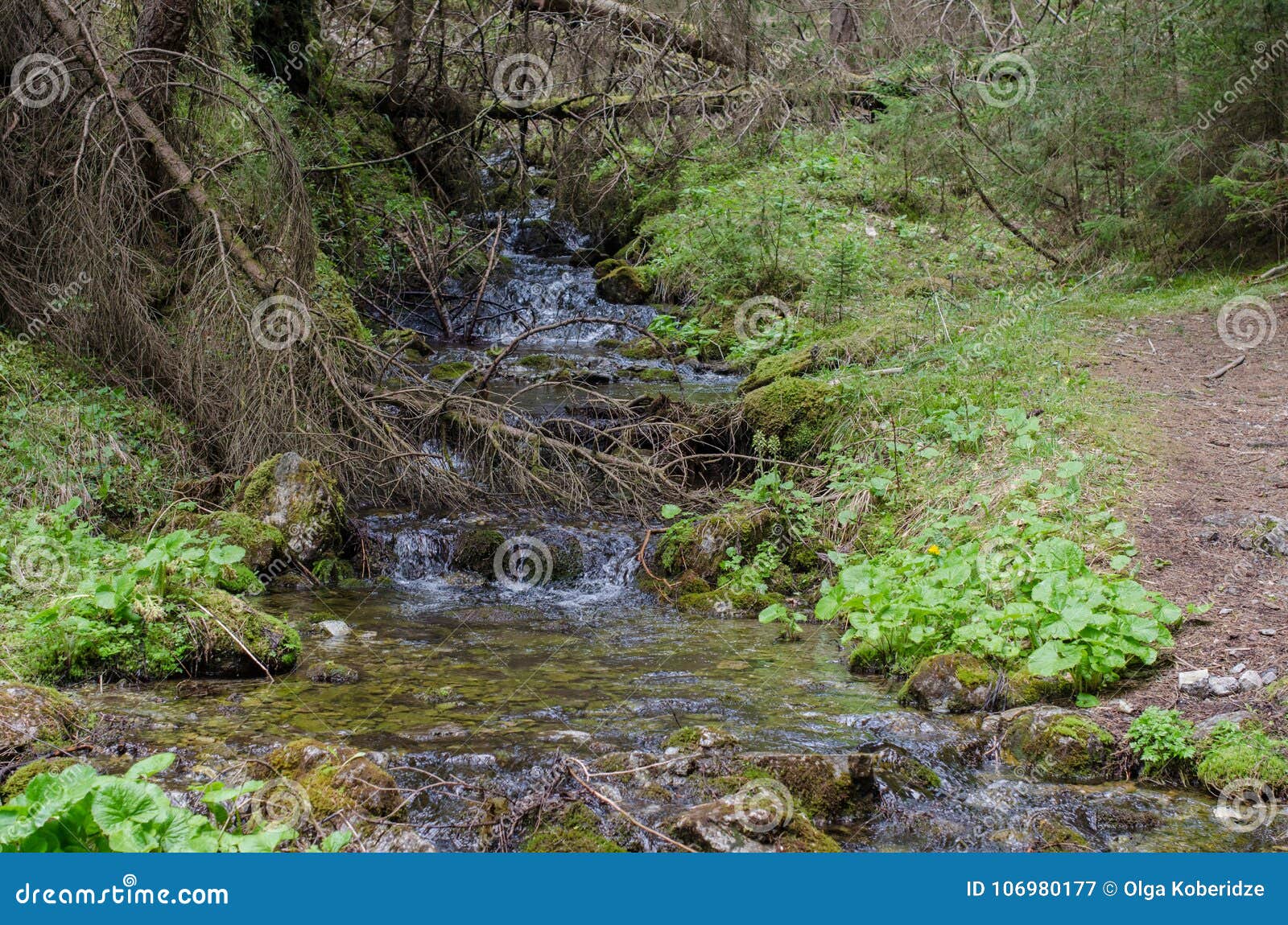 View of Mountain River in Early Spring, in Slovakia Stock Image - Image ...