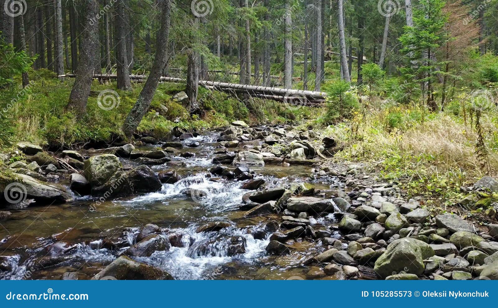 A View of a Mountain Stream that Flows Down a Slope of Stones Stock ...