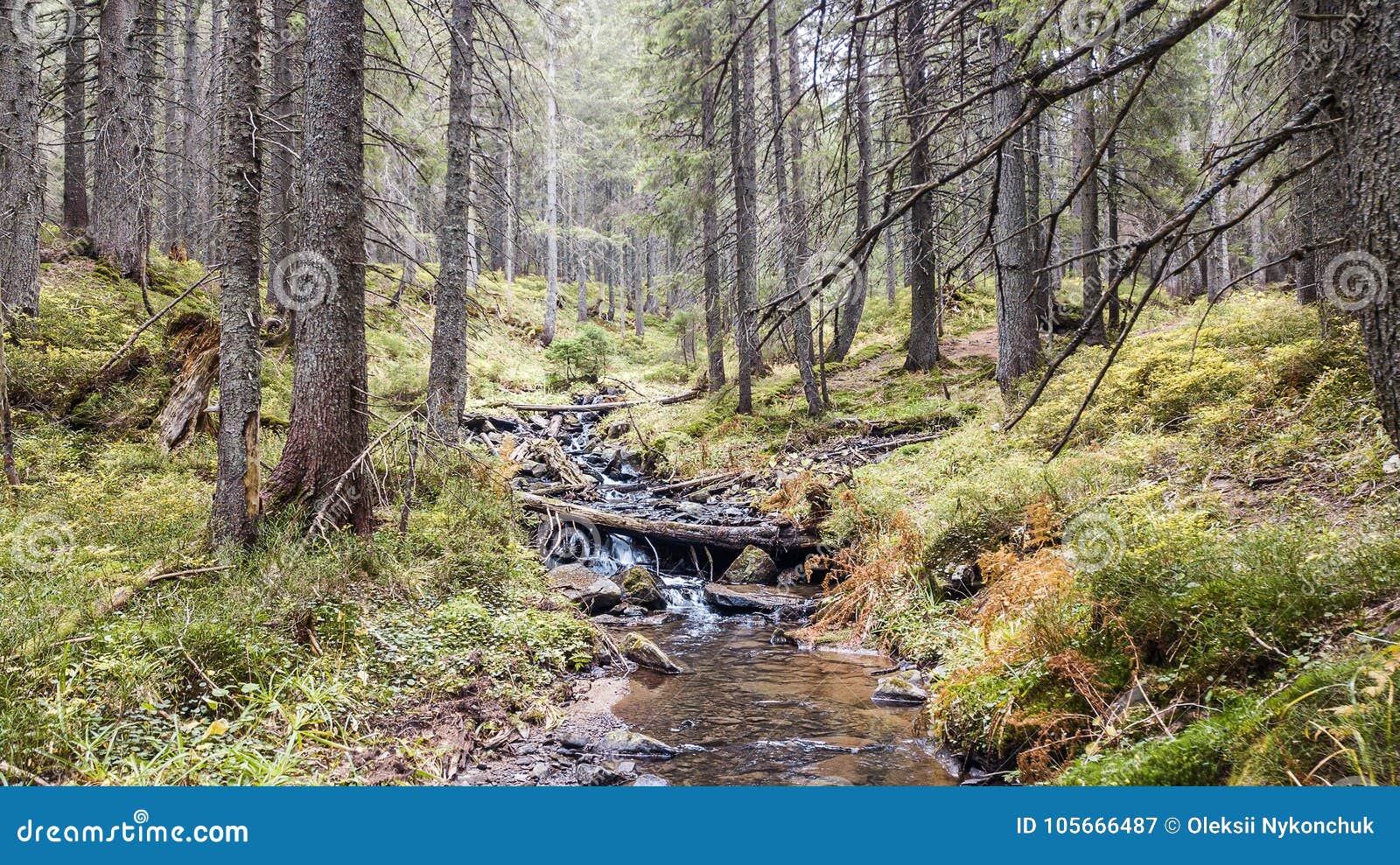 A View of a Mountain Stream that Flows Down a Slope of Stones Stock ...