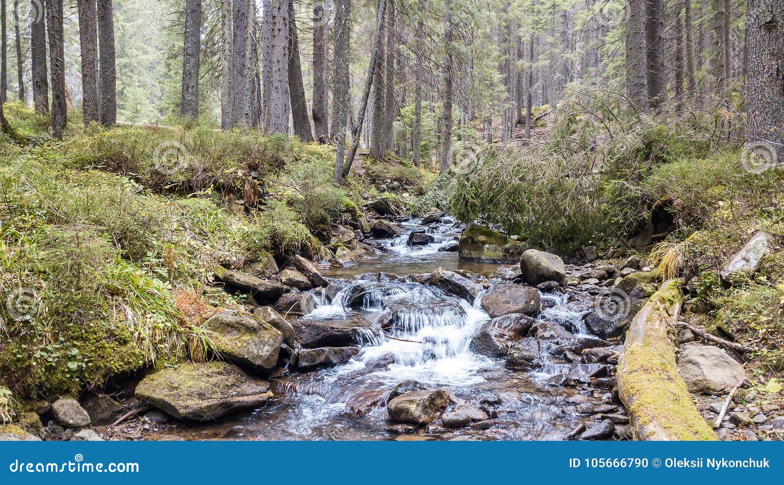 A View of a Mountain Stream that Flows Down a Slope of Stones Stock ...