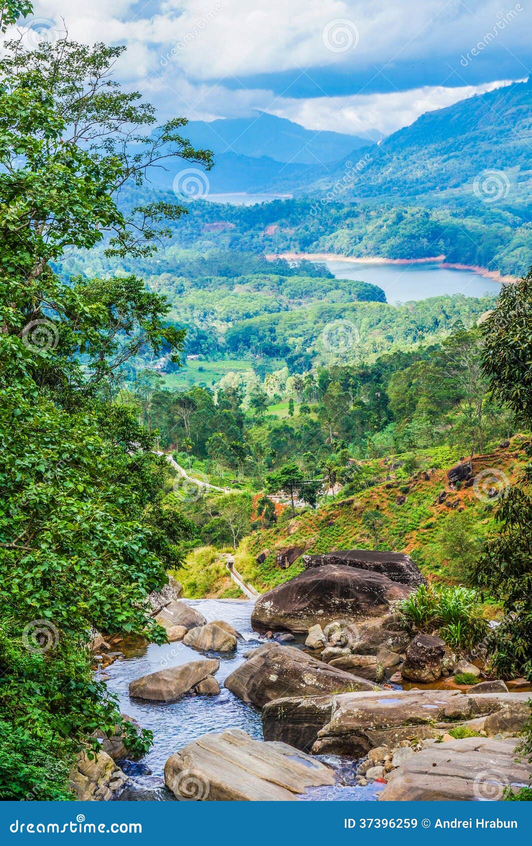 View of the Mountain Valley Stock Image - Image of forest, ecology ...