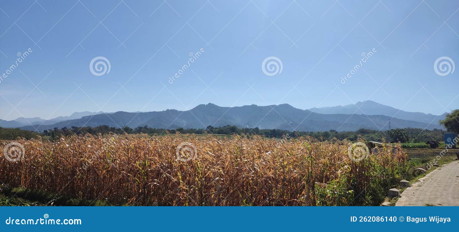 The View a Mountain Wilis from West Stock Photo - Image of view, wilis ...