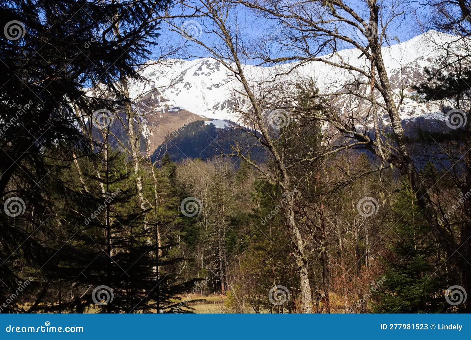 View of the Mountains of Arkhyz Reserve Stock Image - Image of glacier ...
