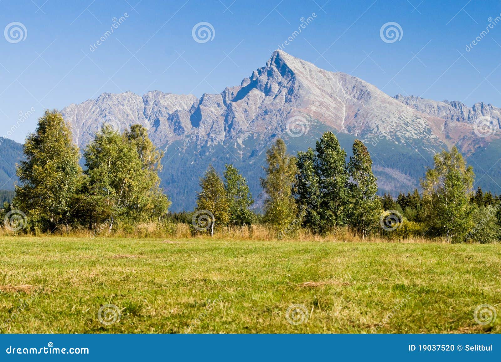View on Mountains of High Tatras and Peak Krivan Stock Photo - Image of ...