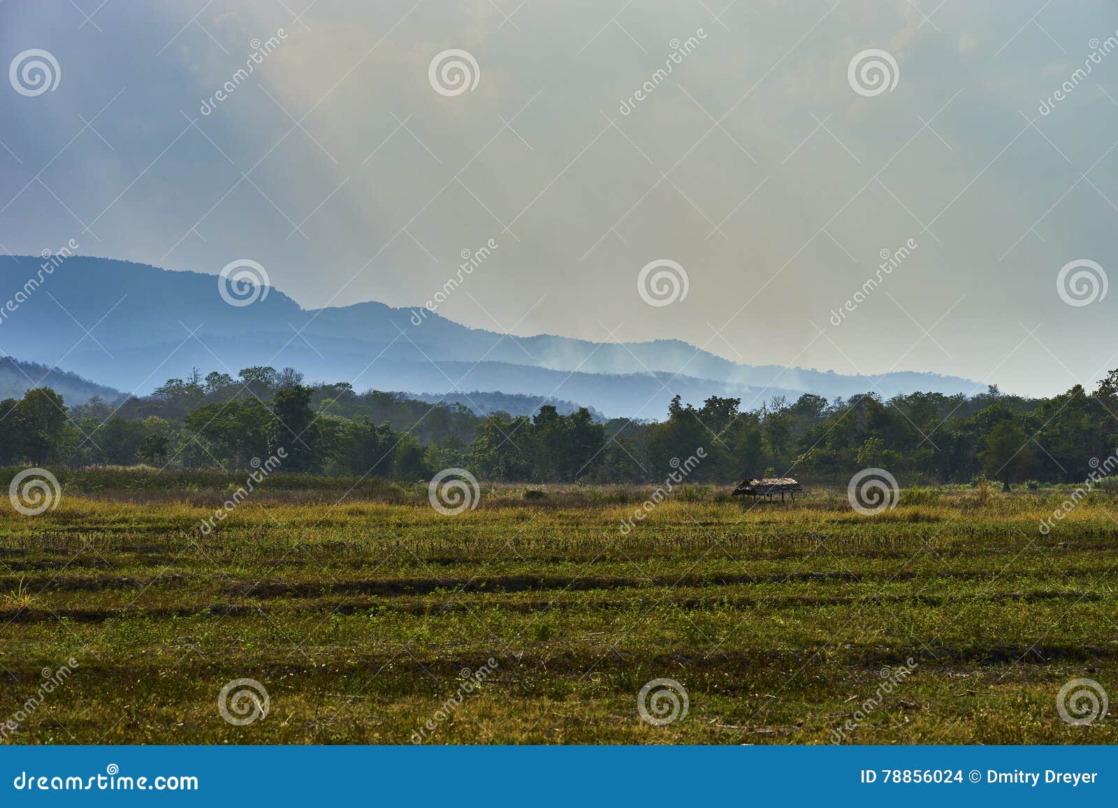 View of Mountains Jungle and Field. Stock Photo - Image of mountain ...