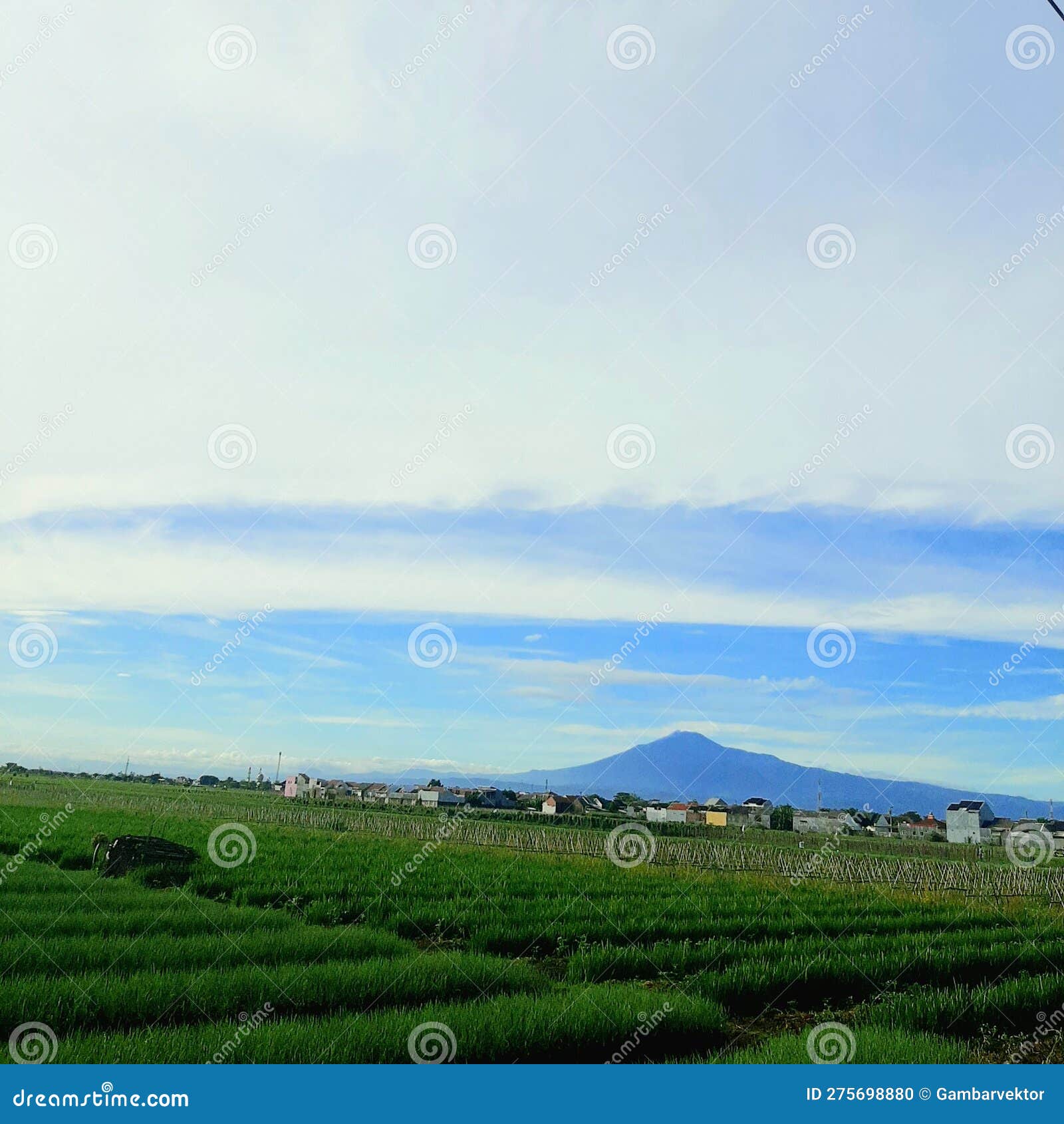 View of Mountains and Rice Fields in Countryside Stock Photo - Image of ...