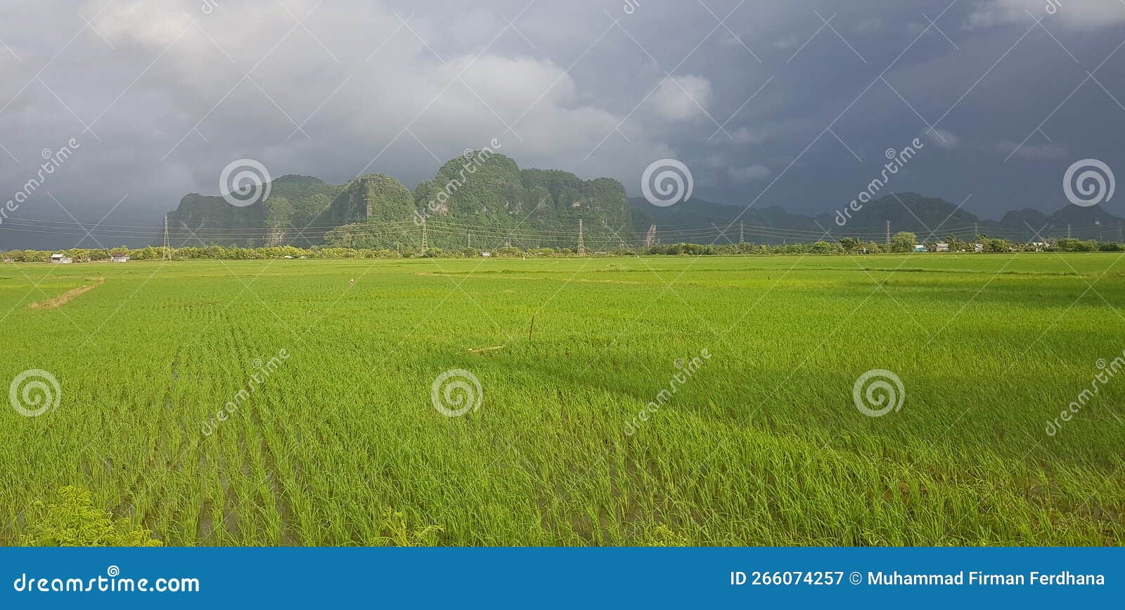 View of Mountains and Rice Fields in the Maros Pangkep Axis Area Stock ...