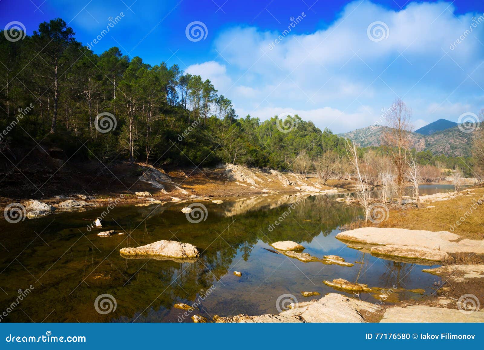 View of Mountains River with Forest Riverside in Autumn Stock Photo ...