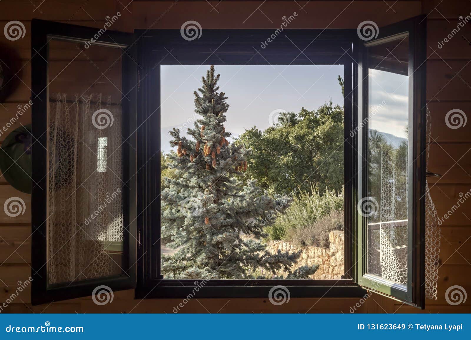 View of the Mountains, Spruce and Forest through an Open, Wooden Window ...