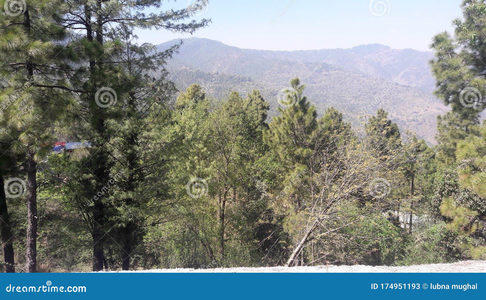 View of Mountains and Tree in Murree Stock Image - Image of murree ...