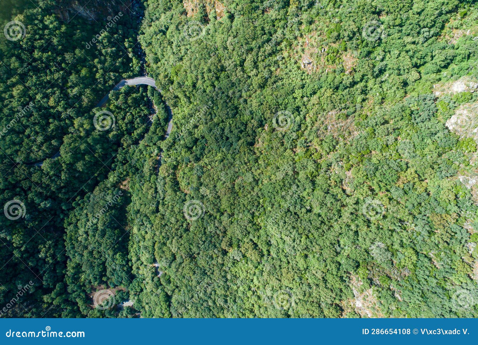 View of a Mountainside Area and a Stretch of Roadway Stock Photo ...