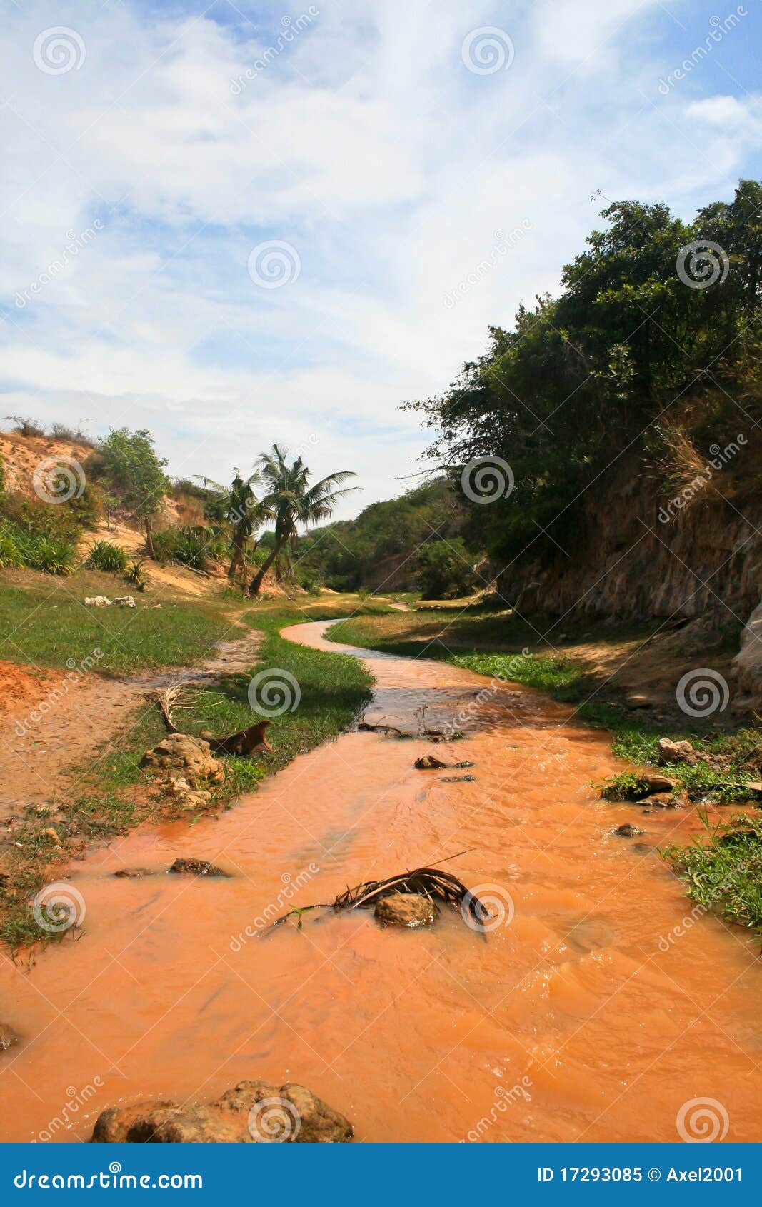 View of Muddy Tropical River Stock Image - Image of culture ...