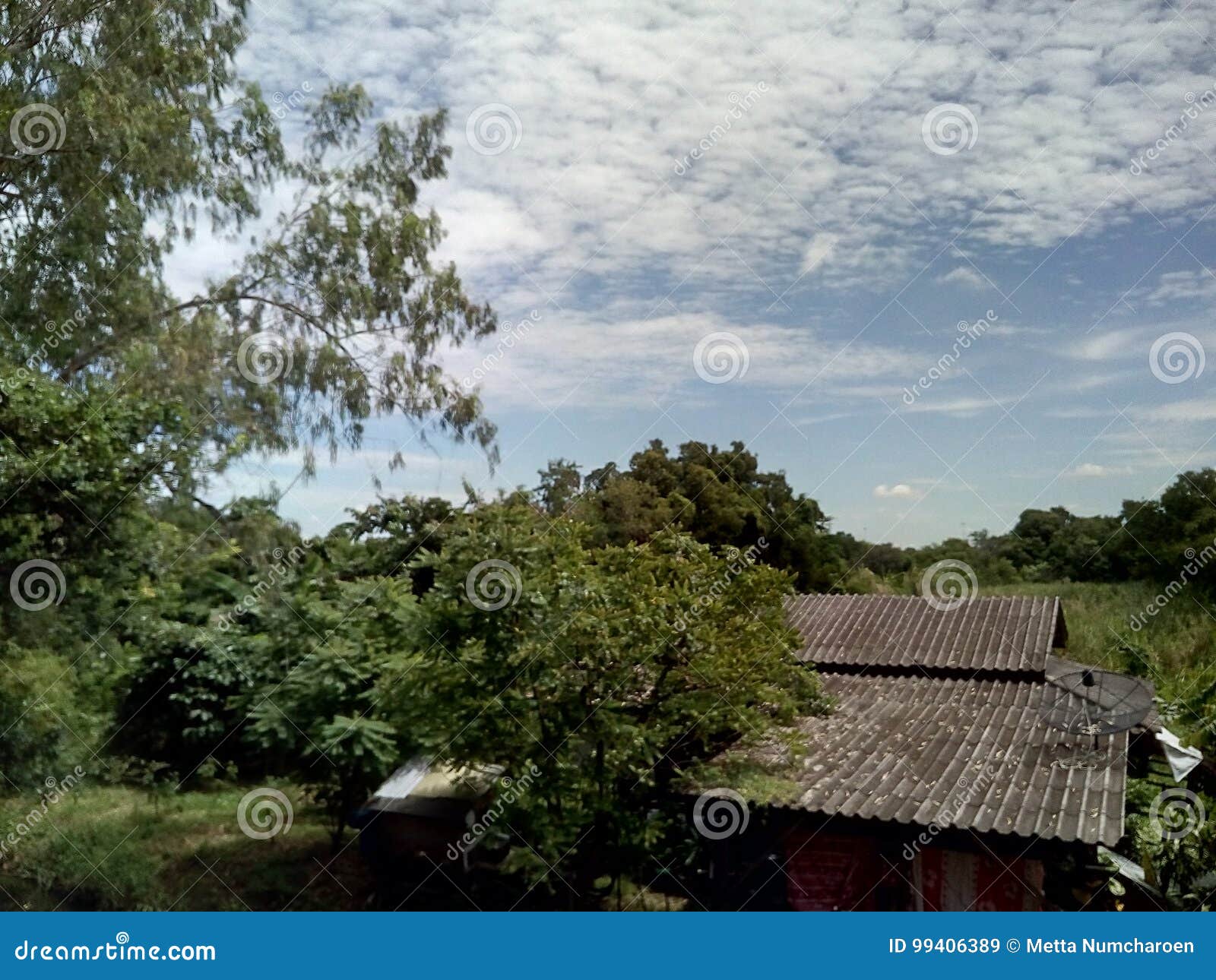 View from my room stock image. Image of view, nature - 99406389