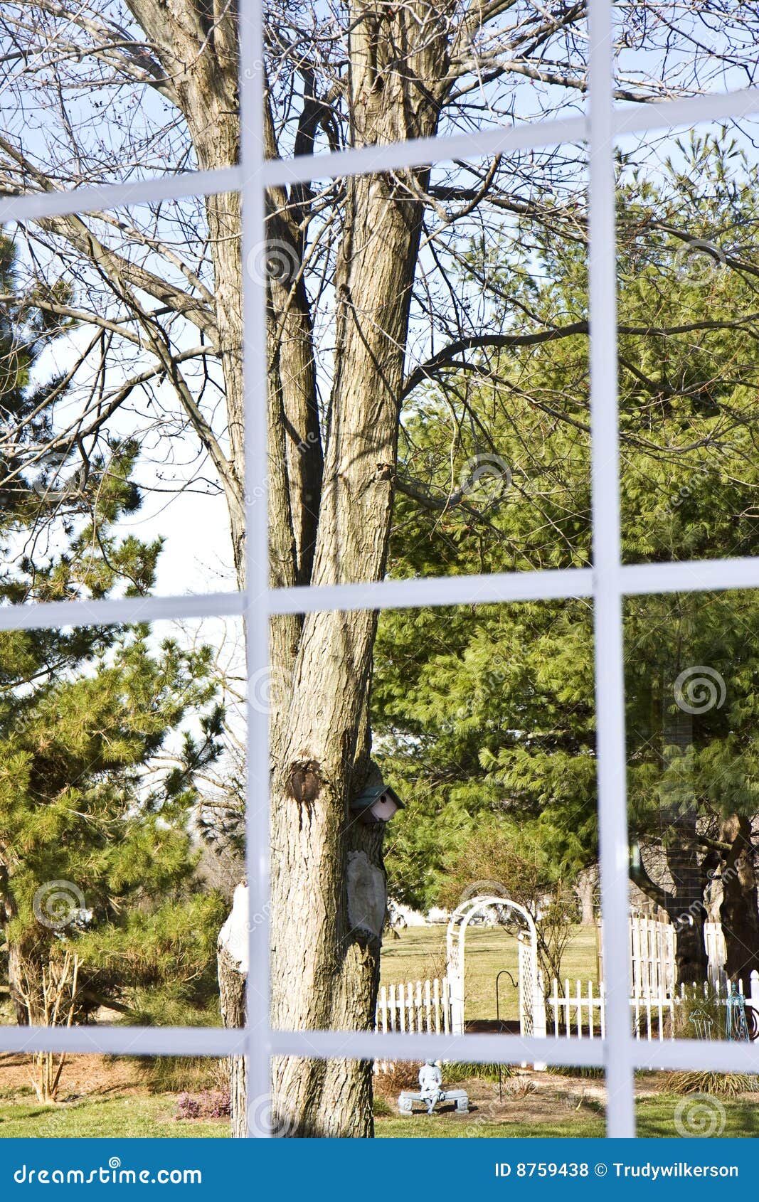 View through My Window stock photo. Image of pane, garden - 8759438