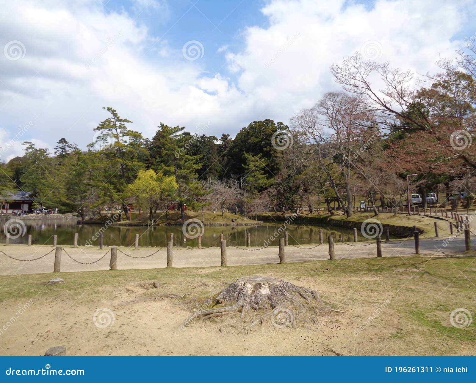 The View of Nara Park when Spring Time Stock Image - Image of hill ...