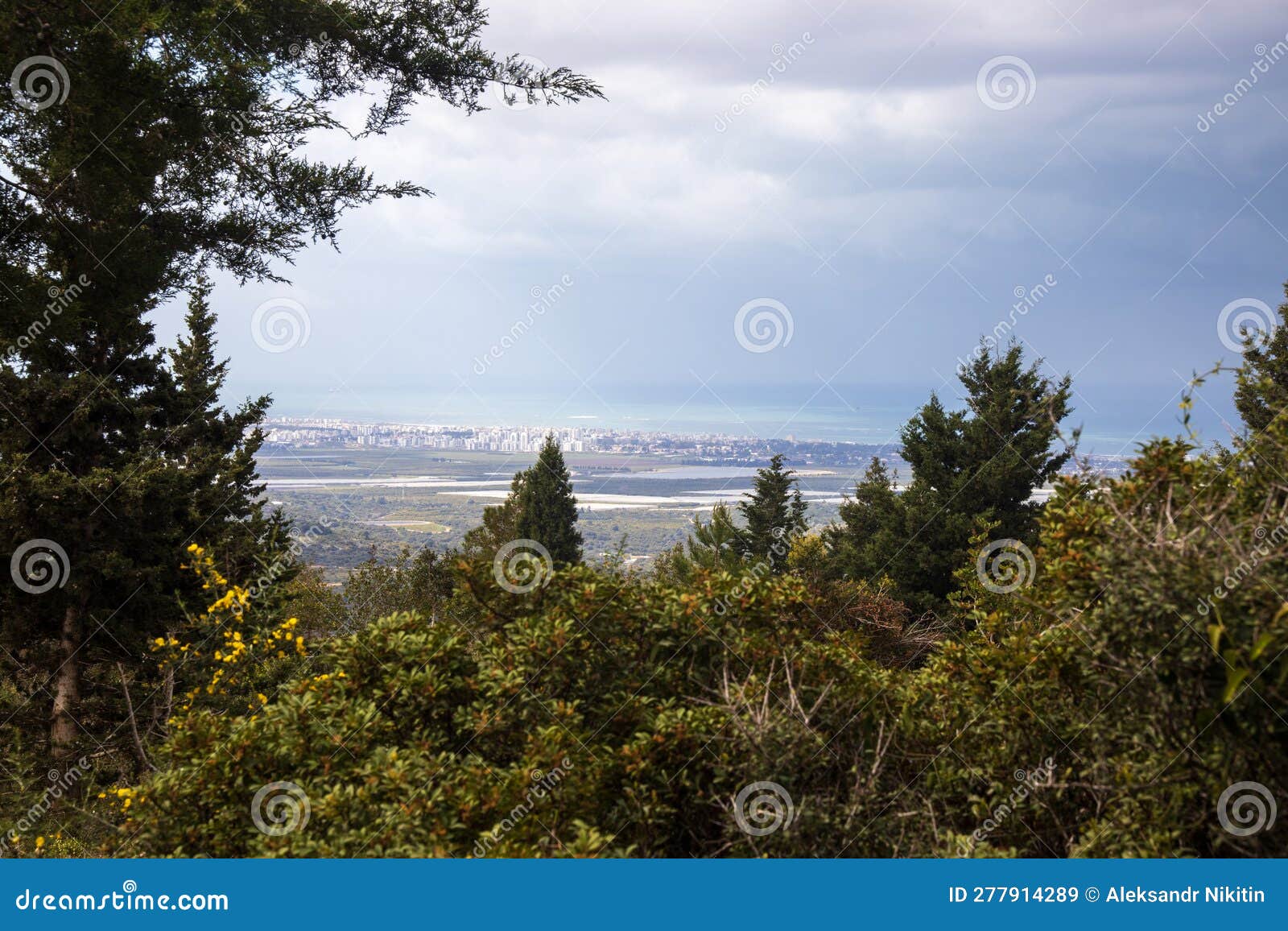 View of the National Park in Spring Stock Image - Image of bluebonnet ...