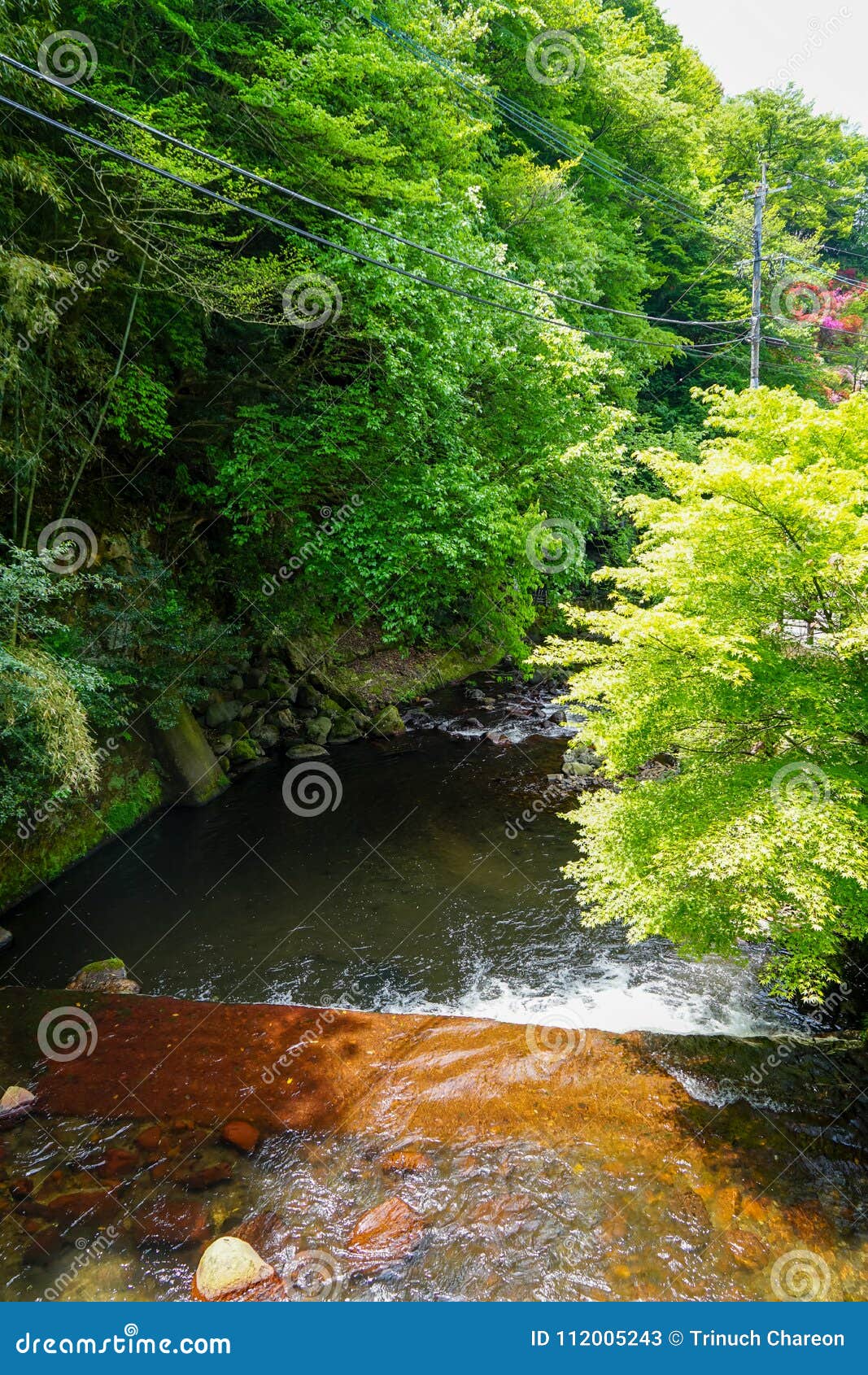 View of Natural Fresh Flowing Spring Stream with Stone Bank through ...