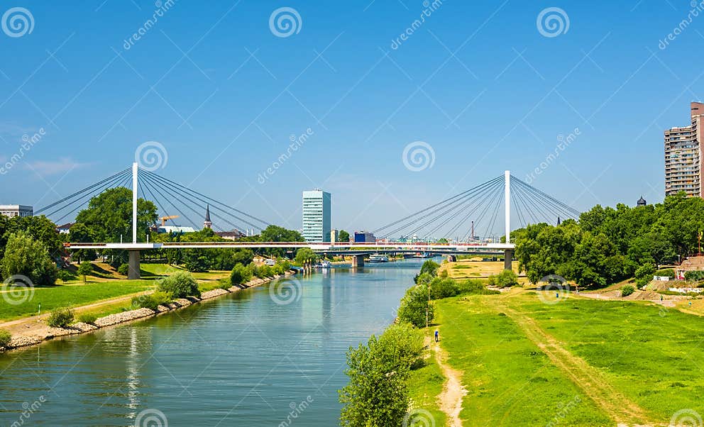View of the Neckar River in Mannheim Stock Photo - Image of meadow ...