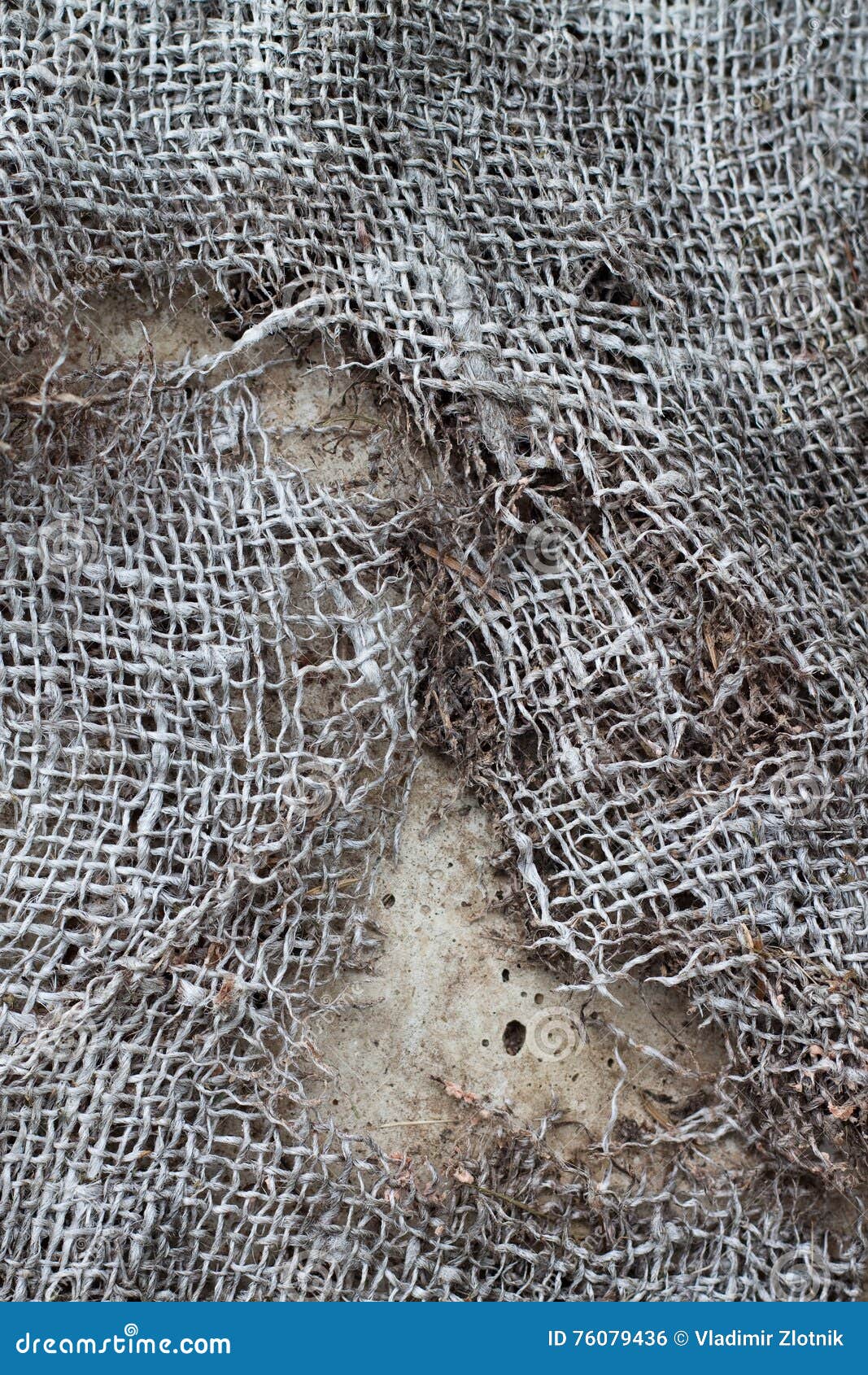 View on the Net on the Asphalt Stock Photo - Image of road, concrete ...