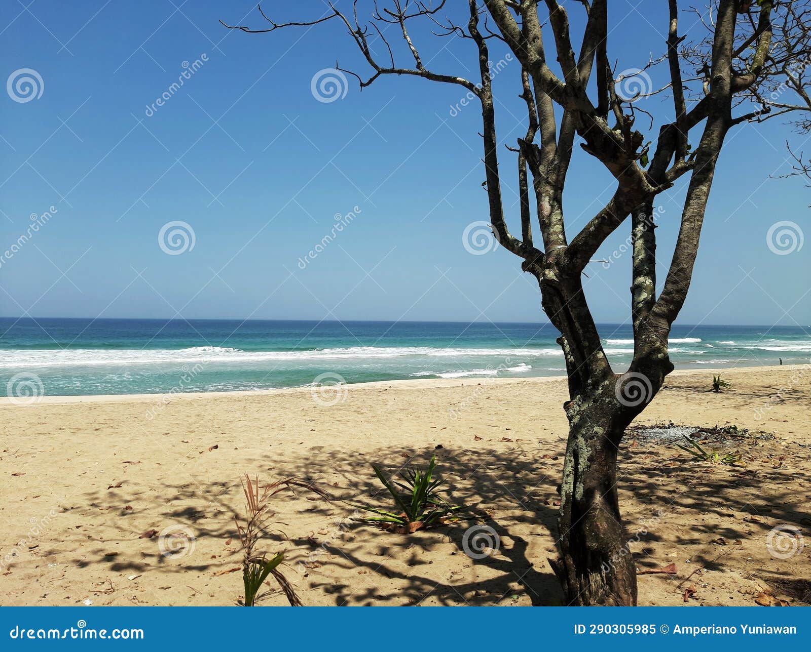 View of Ngantep Beach East Java Indonesia Stock Image - Image of ...