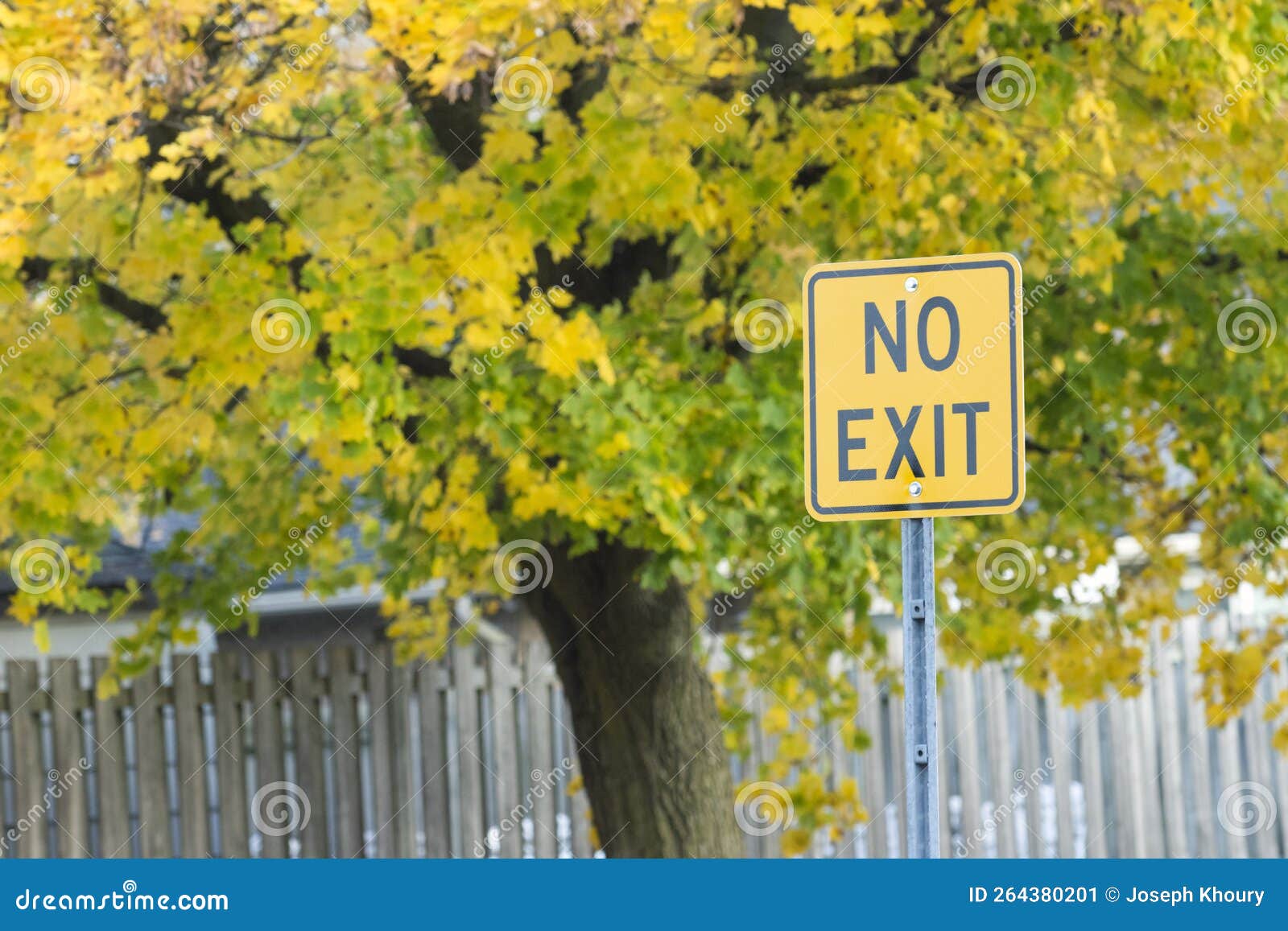 "No Exit" Yellow Road Sign Stock Image - Image of yellow, information ...