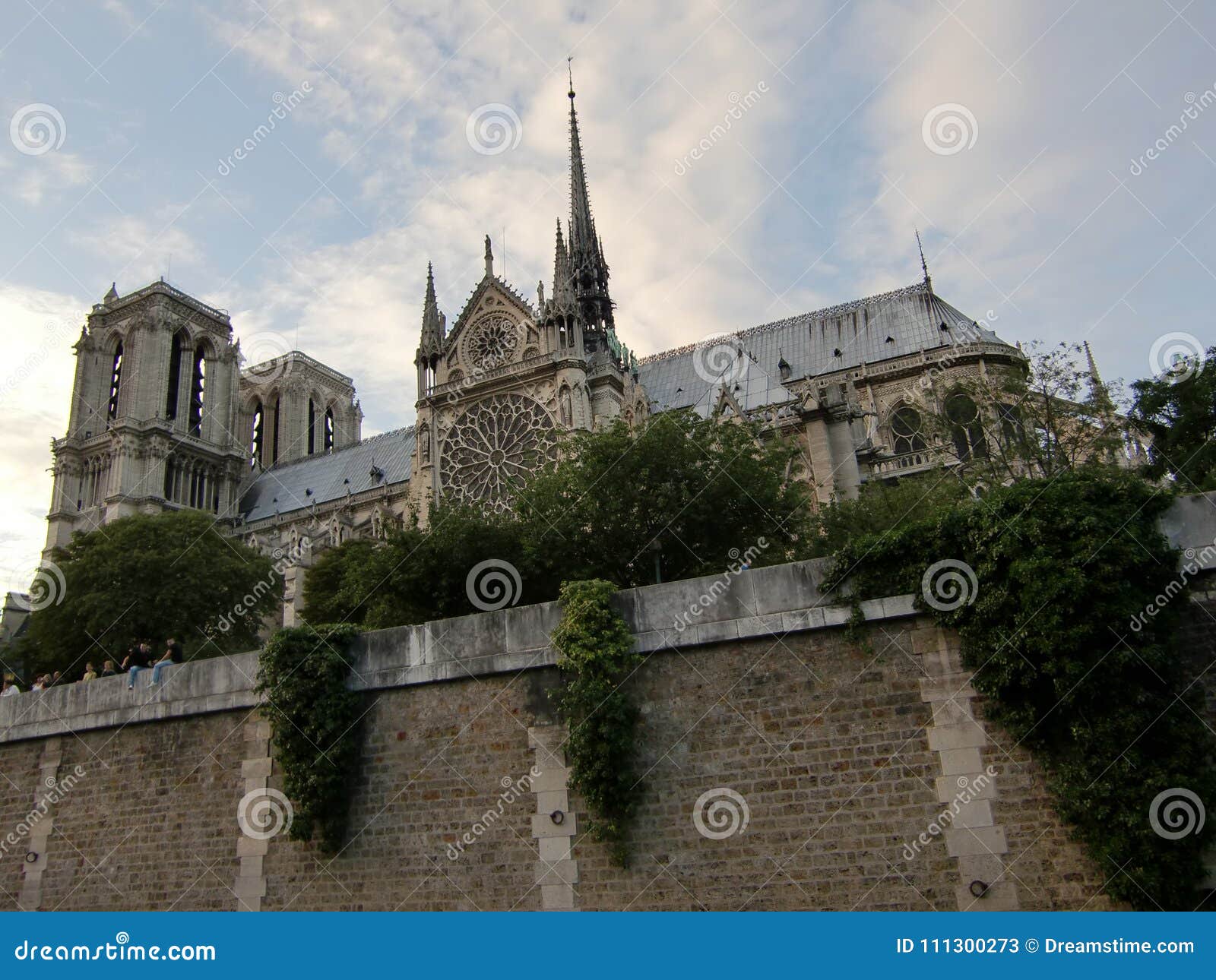Notre-Dame De Paris from Water Stock Image - Image of angels, winter ...
