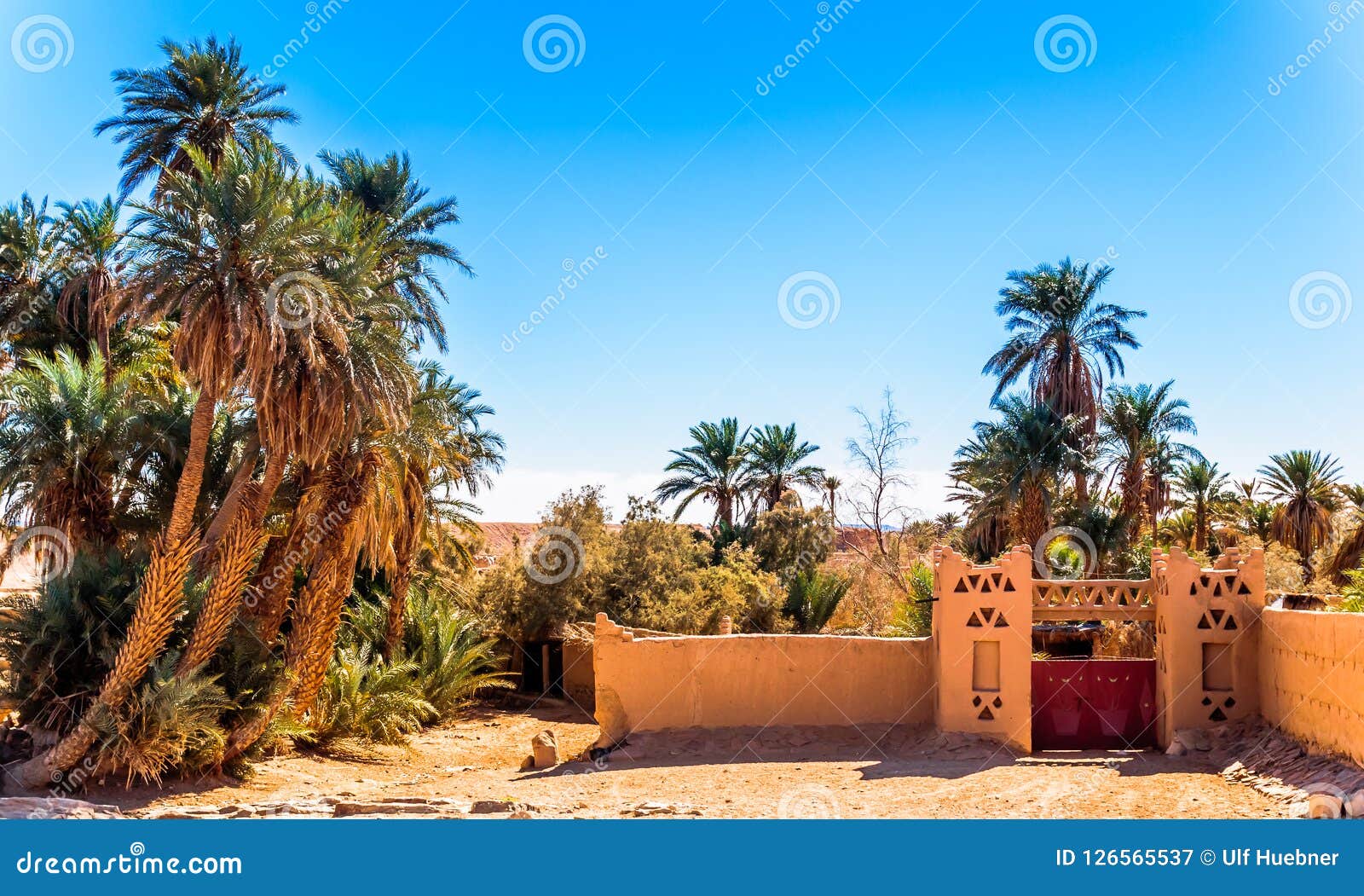 Oasis in the Sahara Desert of Morocco Stock Image - Image of ...