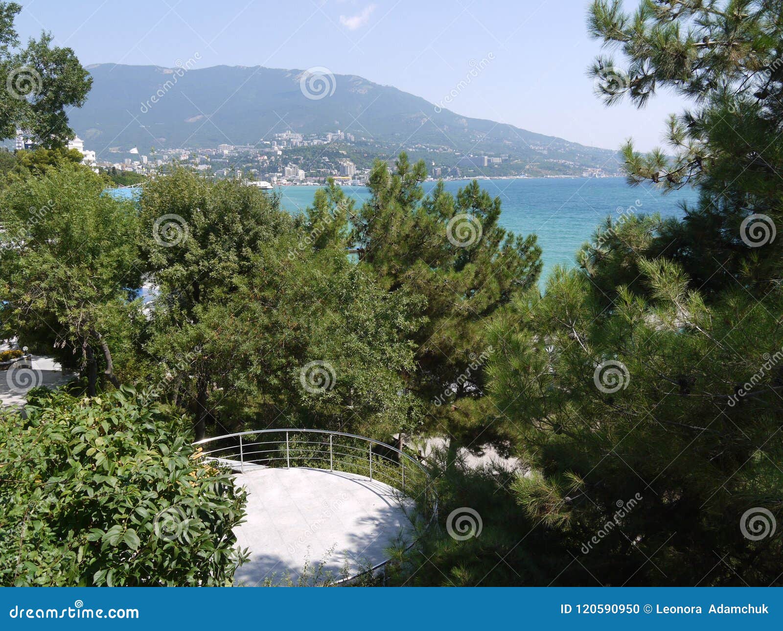 View of the Observation Deck between the Trees and the Resort Coast ...