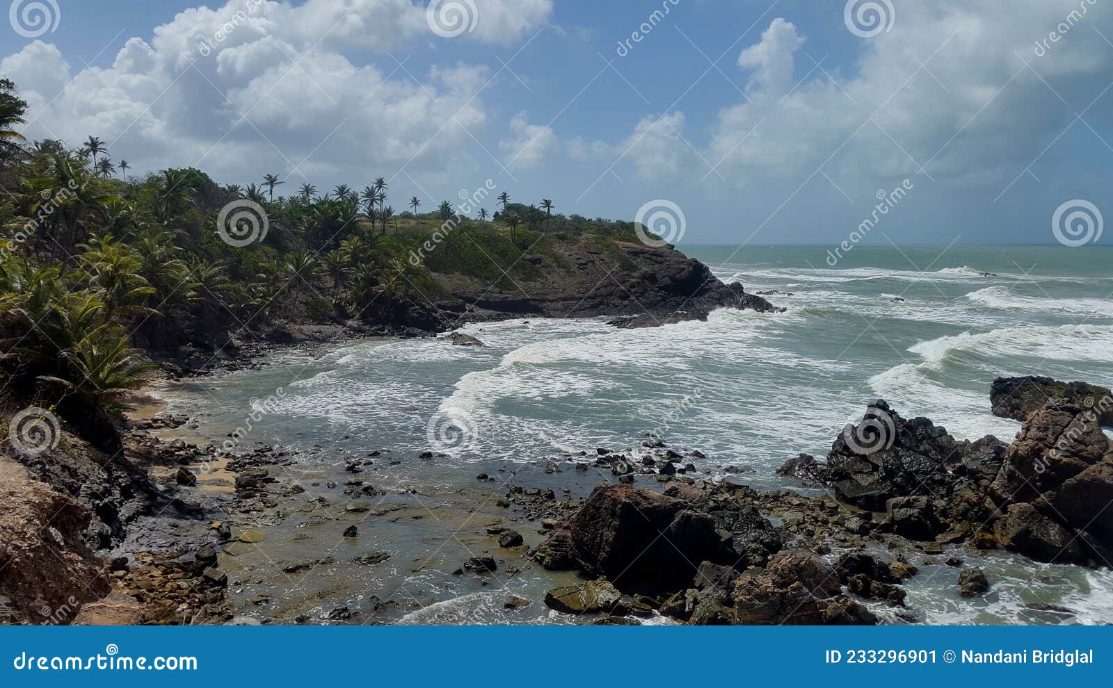 Toco Trinidad And Tobago West Indies Rough Sea Beach Cliff Edge View ...
