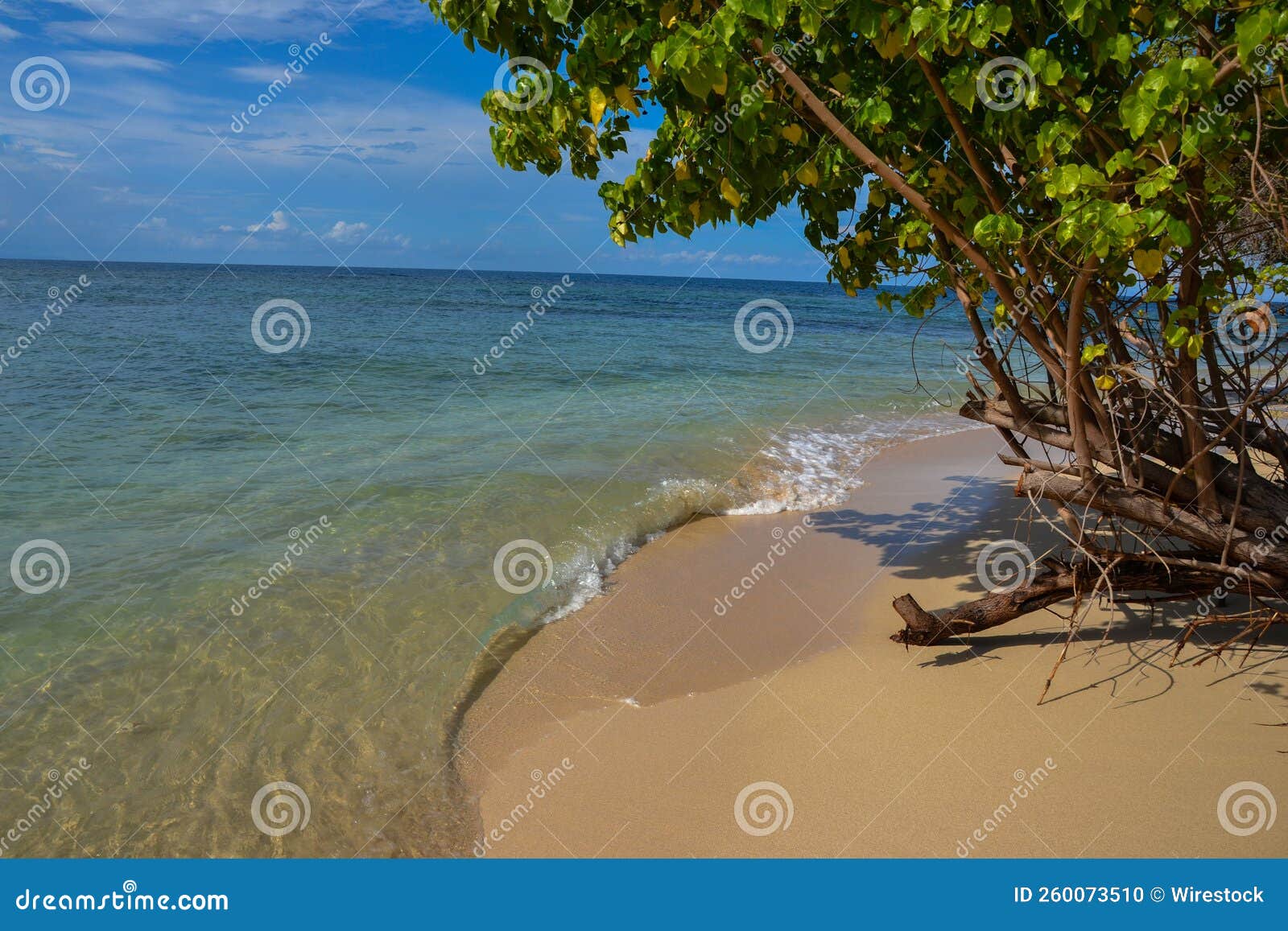 View of Ocean Waves Reaching the Sandy Shore - Summer Vacation Concept ...