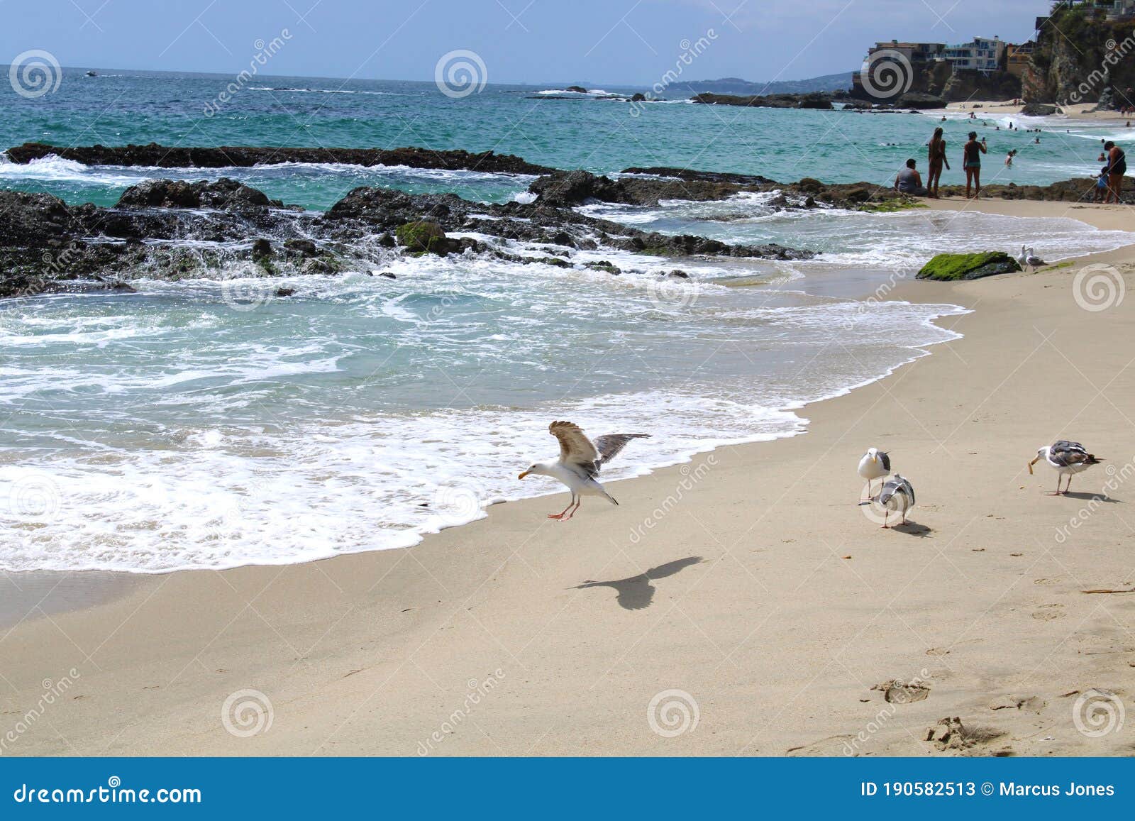 Ocean Waves Rolling into the Beach Over the Rocks at 1000 Steps Beach ...