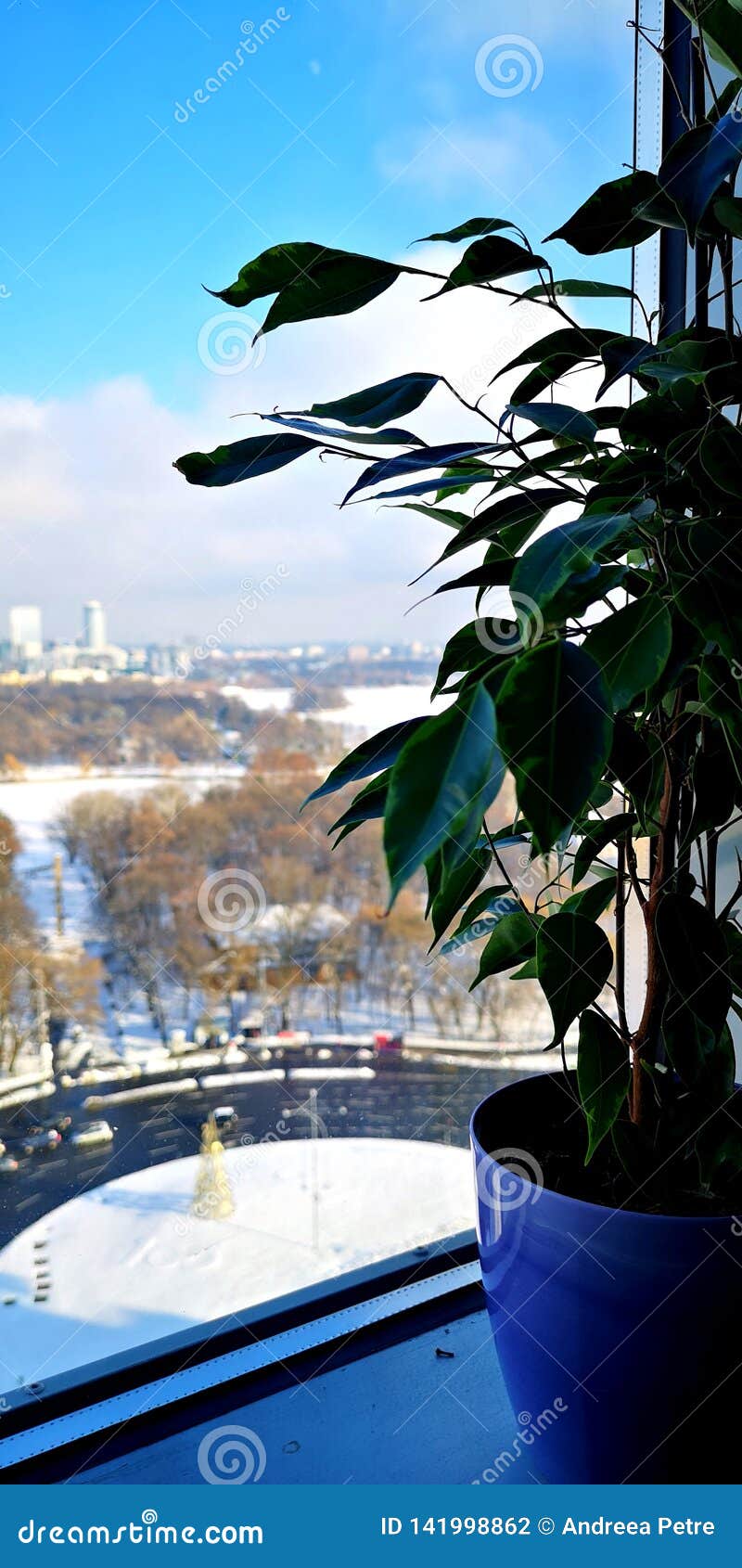 A view from office window stock photo. Image of office - 141998862