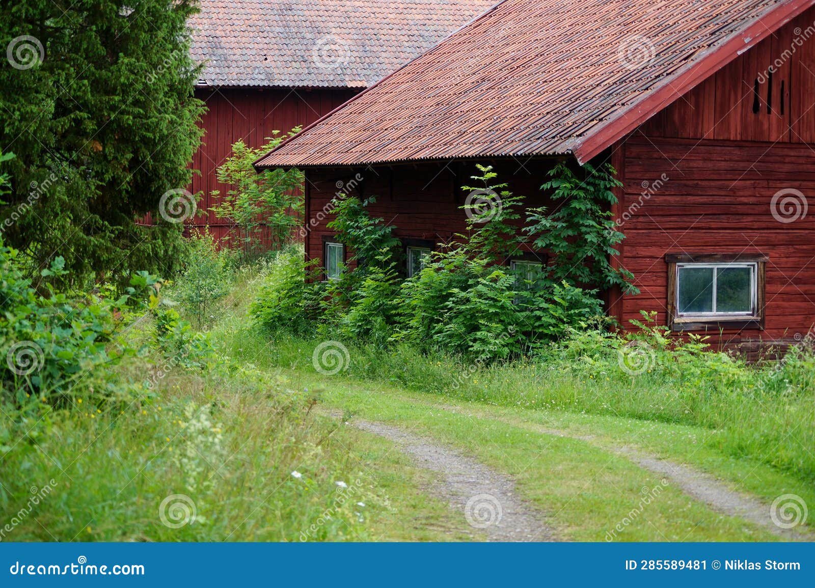 View of Old Abandoned Buildings in Forest Stock Image - Image of garden ...