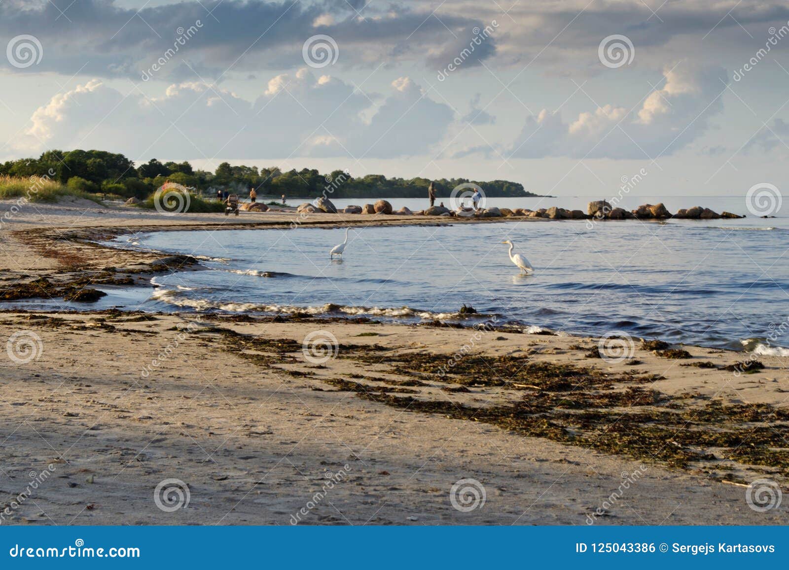 A View of Old Breakwater Posts on Beach, Lapmezciems, Riga Bay ...