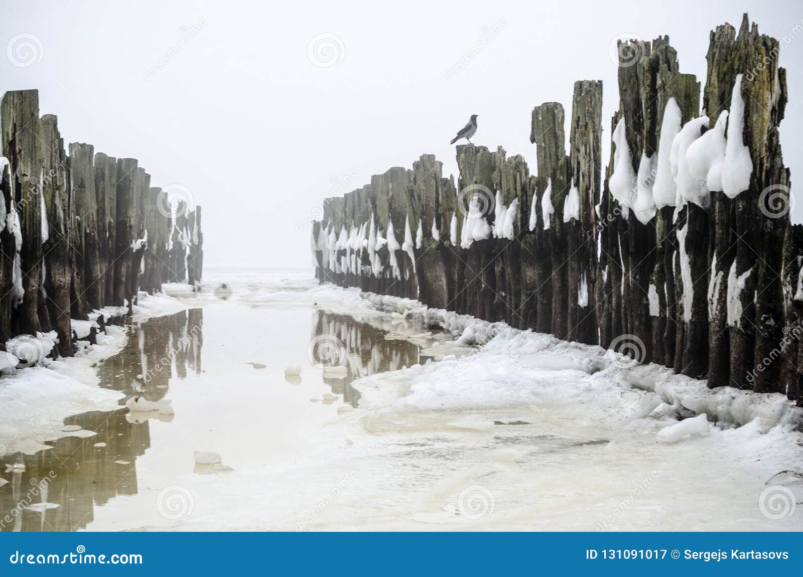 A View of Old Breakwater Posts in Winter ,Riga Bay, Latvia Stock Image ...