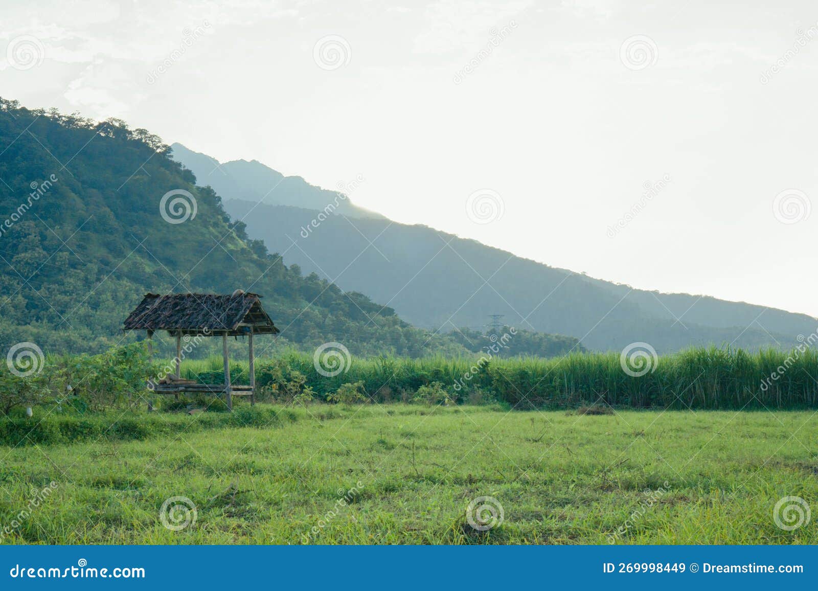 View of an Old Hut in a Rice Field with Mountains in the Background ...