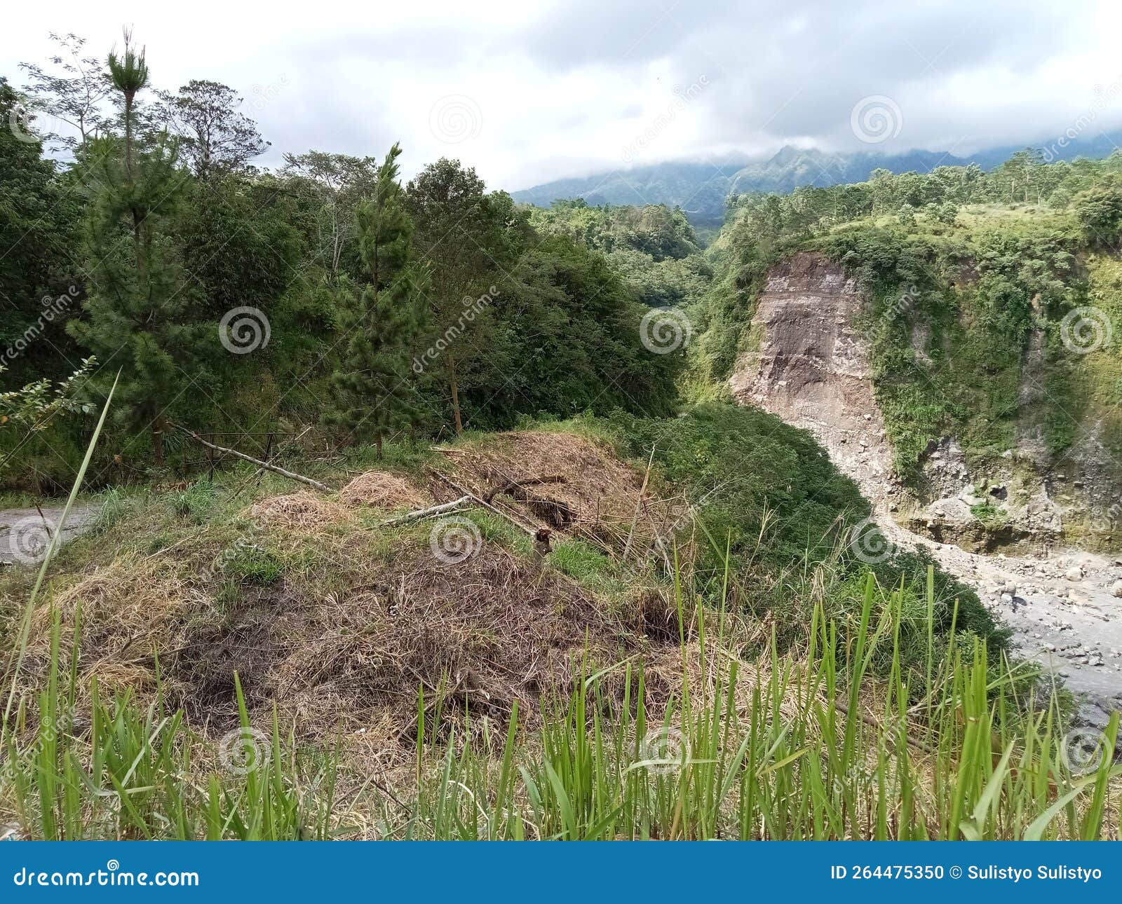A View on One of the Mountain Slopes, Former Post-eruption Land Several ...