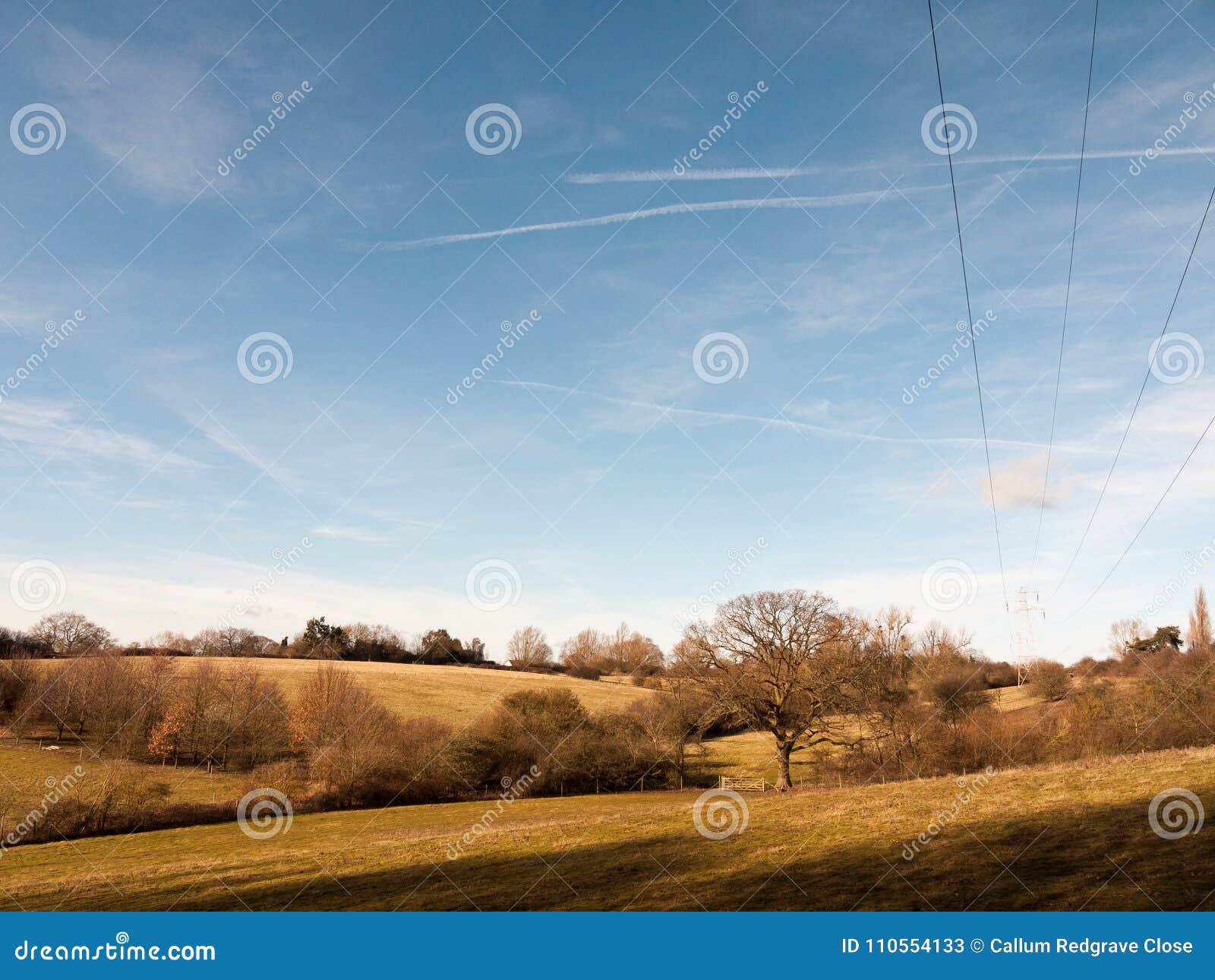 View of Open Green Empty Grass Fields Outside Spring Dedham Vale ...