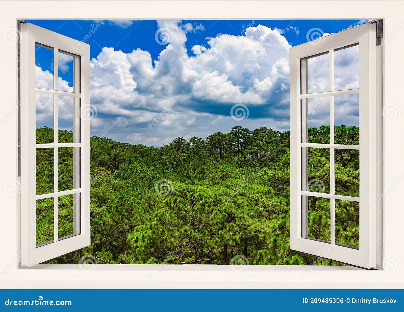 View from an Open Window To the Jungle Stock Photo - Image of outside ...
