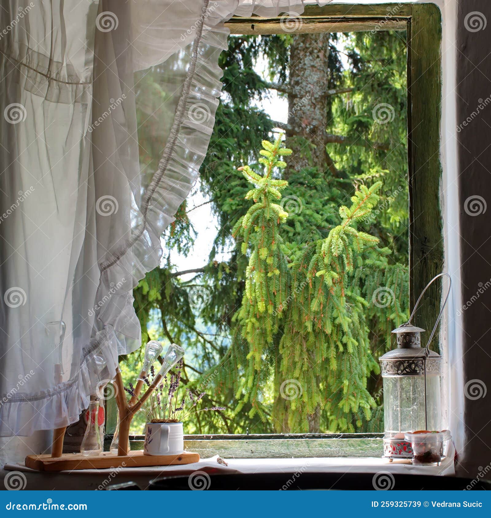 View from the open window stock image. Image of nature - 259325739