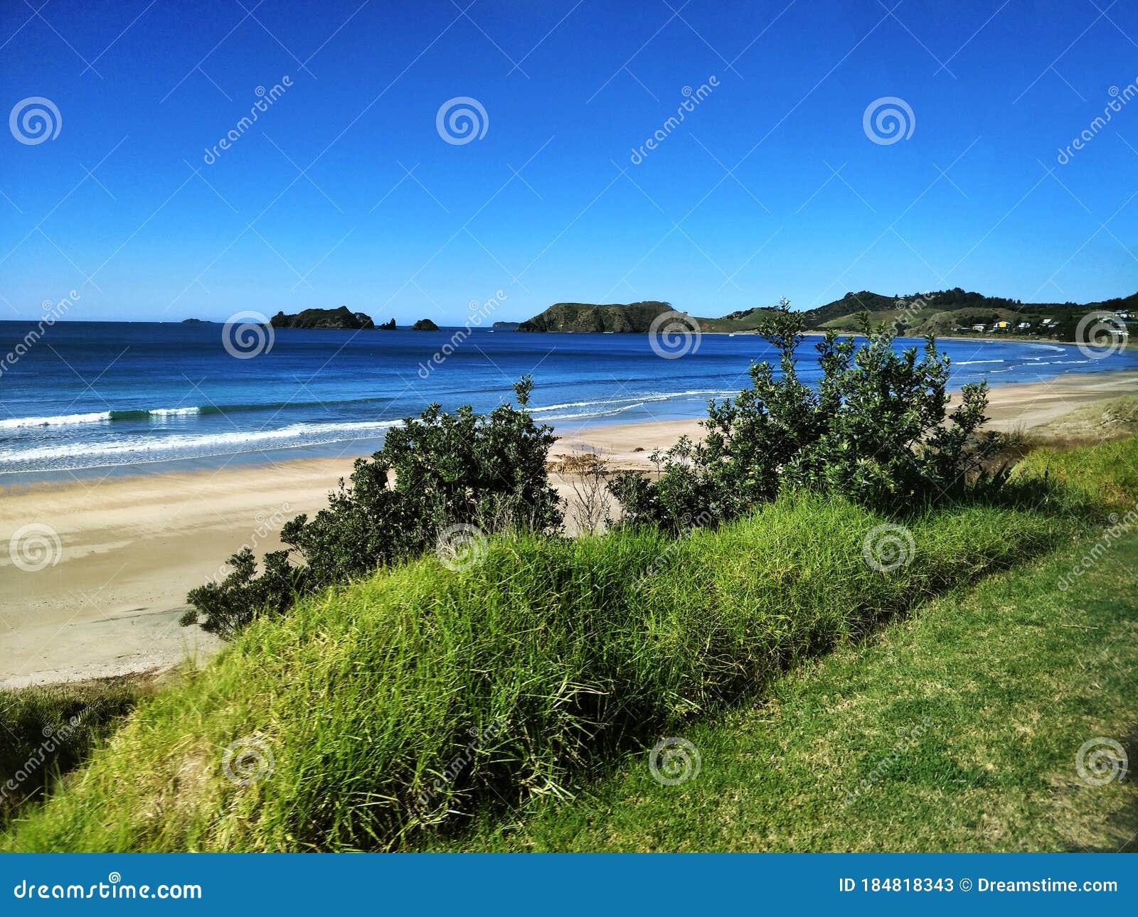 View of the Opito bay stock image. Image of forest, mountain - 184818343