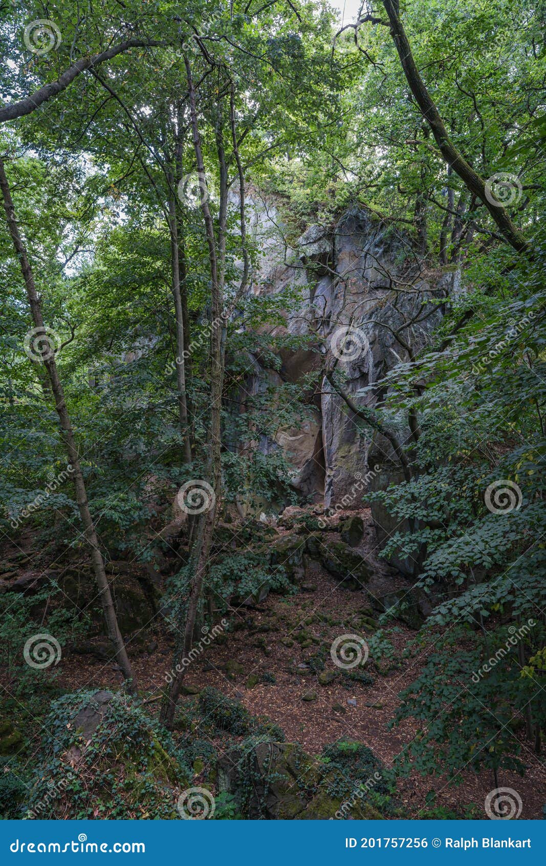 View on a Opright Overgrown Rock Wall in a Forest. Stock Photo - Image ...