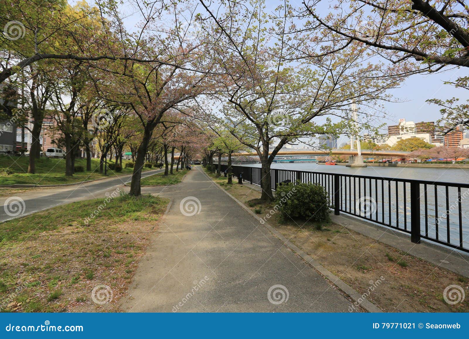 View of Osaka City Along the River, Japan Editorial Photo - Image of ...