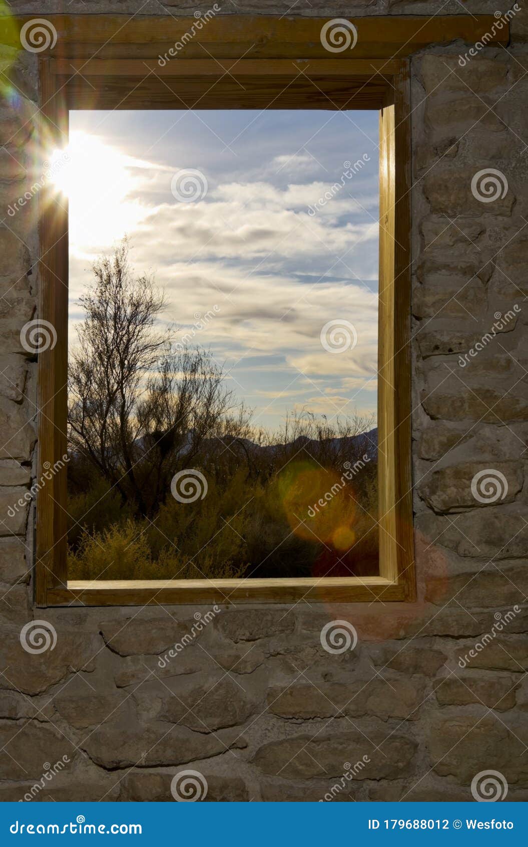 A View Out the Window stock photo. Image of plants, architecture ...