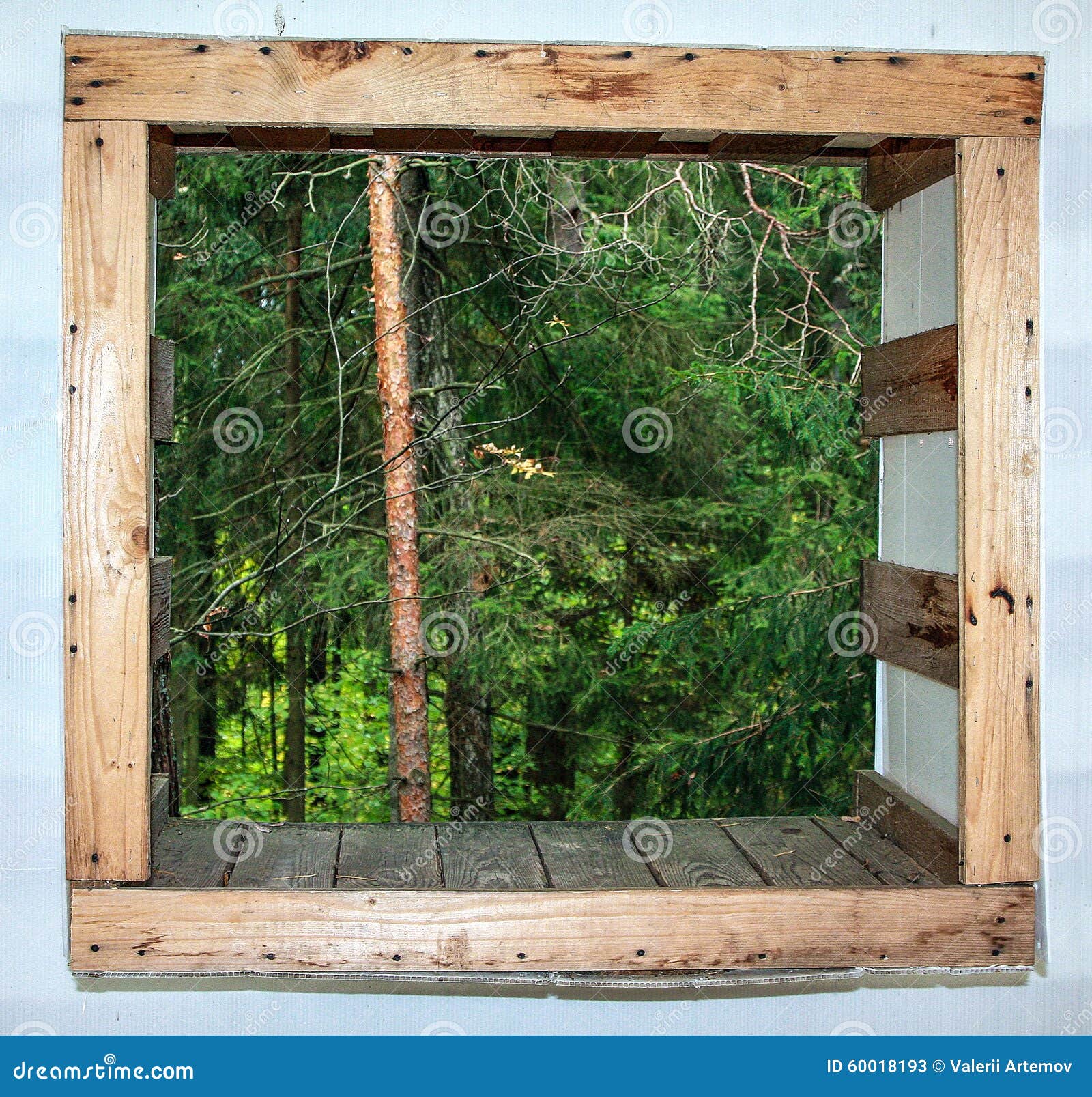 View Out the Window at the Wild Forest Stock Image - Image of trunk ...