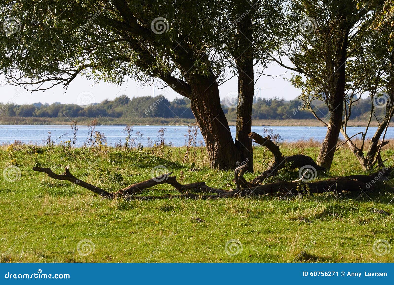 View Over Brokholm Lake in Salling, Denmark Stock Image - Image of ...