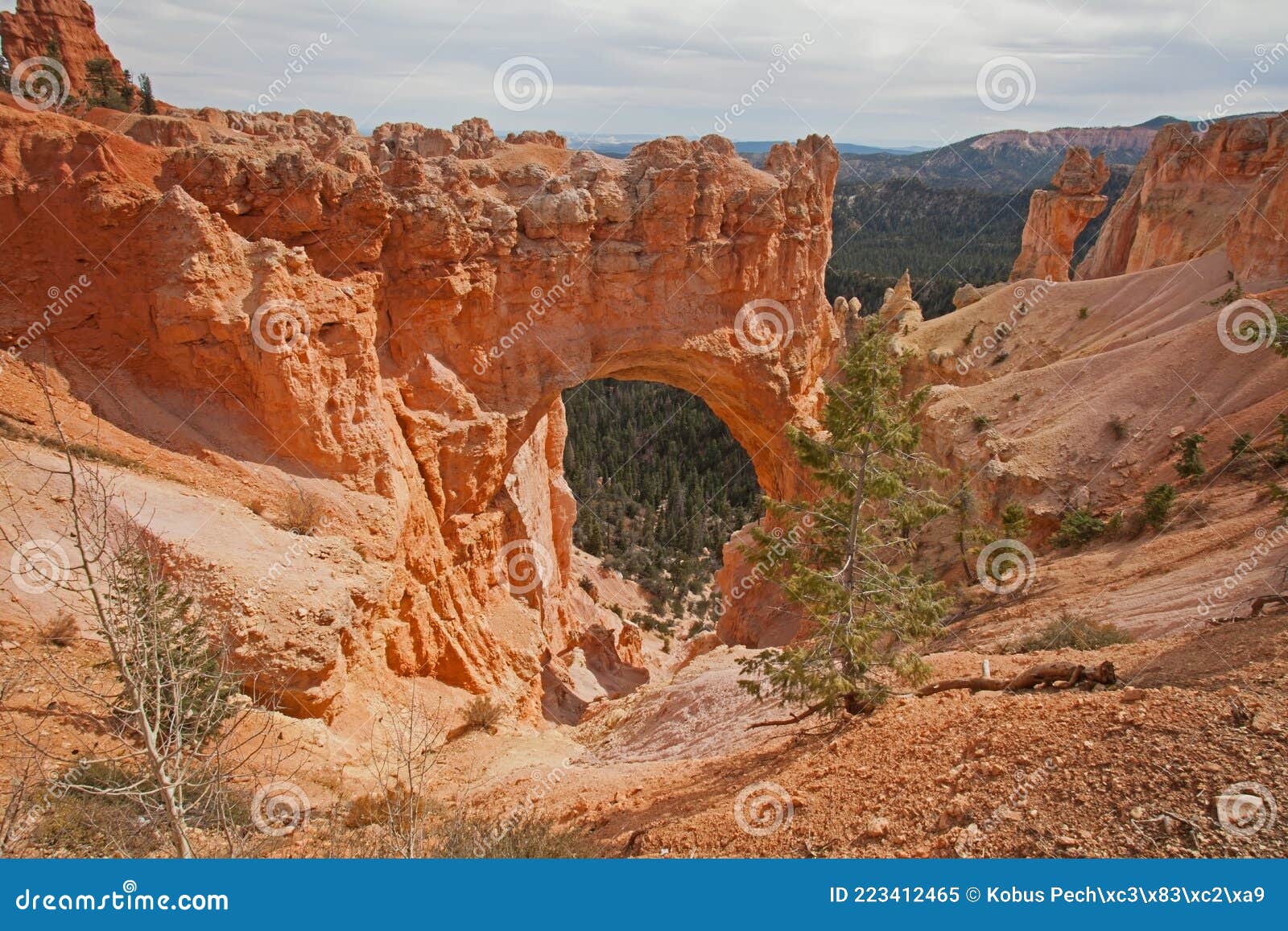 View Over Bryce Canyon 2419 Stock Image - Image of bryce, mountain ...